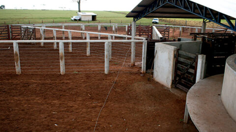 CURRAIS - Valfran - Troncos, Balanças e Currais